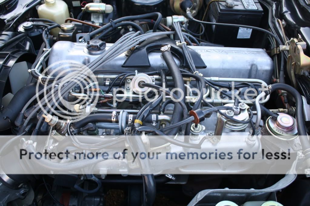 November 2009 Zcar of the Month: Pics of my 79 280ZX 2+2 | ZCar Forum